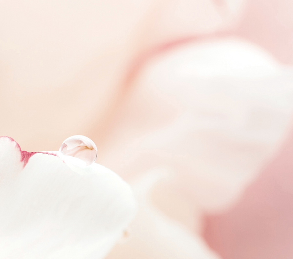 How to Bring Back Radiance and Luminosity to the Skin? | Ambrosia ...